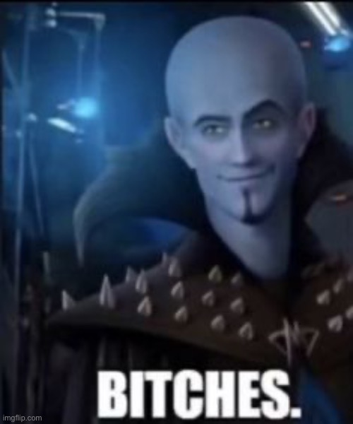 BITCHES. - Imgflip