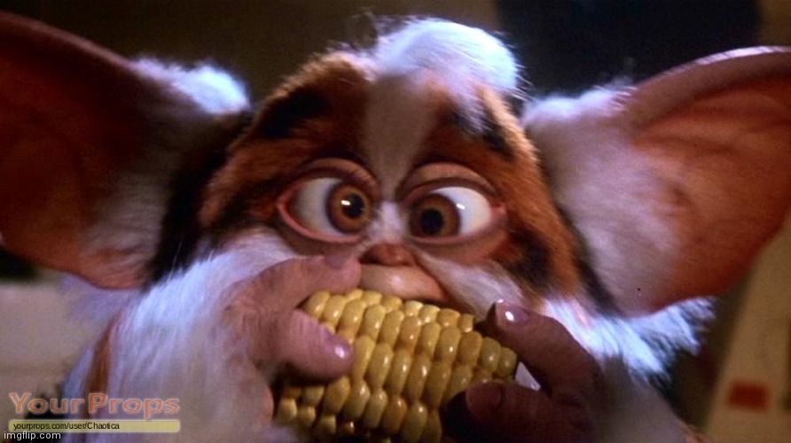 In Gremlins 2: The New Batch (1990), one of the lesser known rules ...