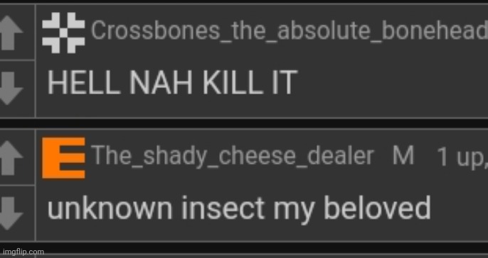 Two types of people - Imgflip