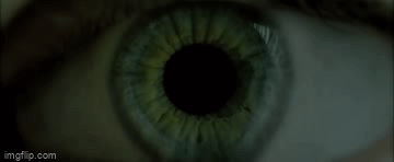 Animated GIF - Imgflip