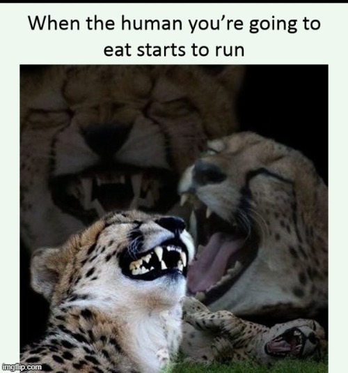 meme temp remake - Imgflip