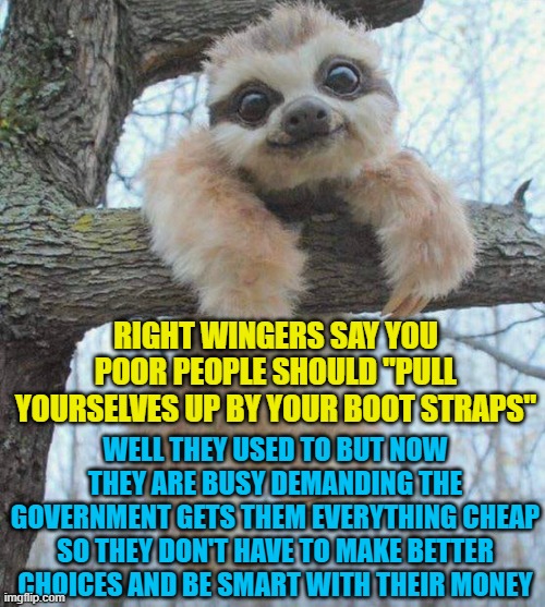 It’s fun triggering right n left wingers - Imgflip