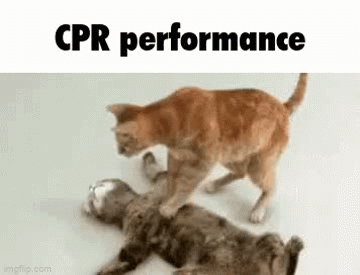 CPR performance - Imgflip