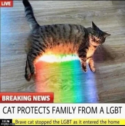 heroic cat - Imgflip