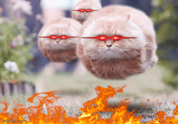 Space KITTENS - Imgflip