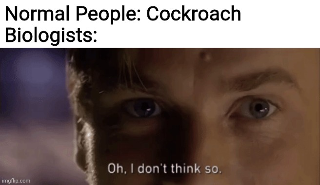 oh i dont think so - Imgflip