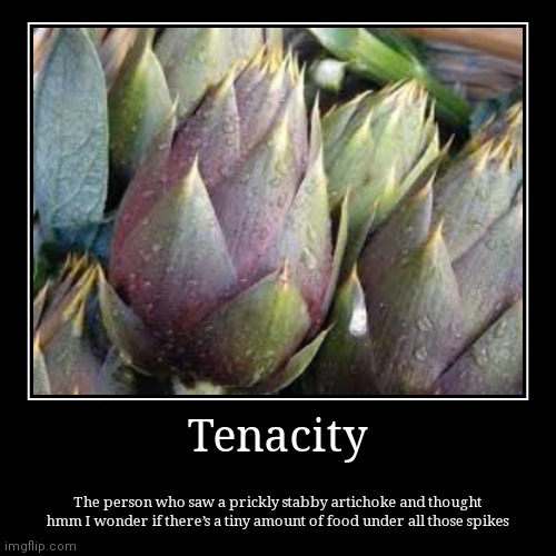 Tenacity - Imgflip