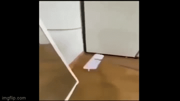 Cockroach jumpscare - Imgflip