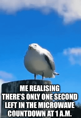 BEEEEEEEEEEP - Imgflip