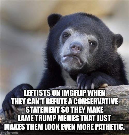 It must be really hard to be a leftist on ImgFlip. So many unrefutable ...