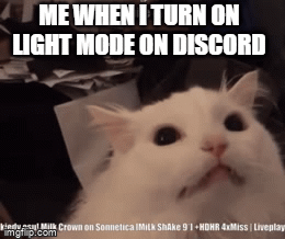 Light mode on discord - Imgflip