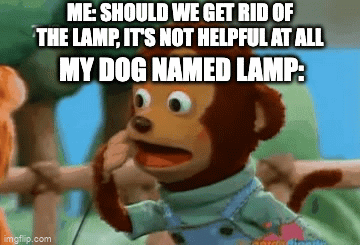 Dog named Lamp - Imgflip