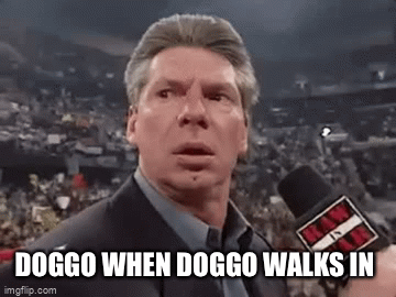 Me and le doggo - Imgflip