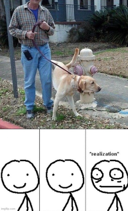 babe its not water, its dog pee - Imgflip