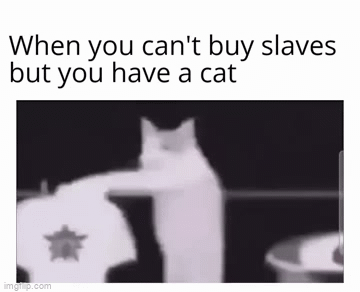 cats are cheaper too - Imgflip