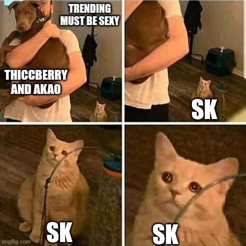 Sad Cat Holding Dog - Imgflip