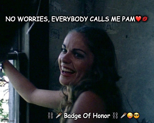 Image tagged in no worries everybody calls me pam - Imgflip