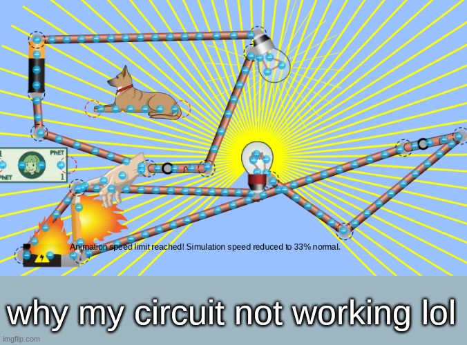 what did i do wrong? - Imgflip