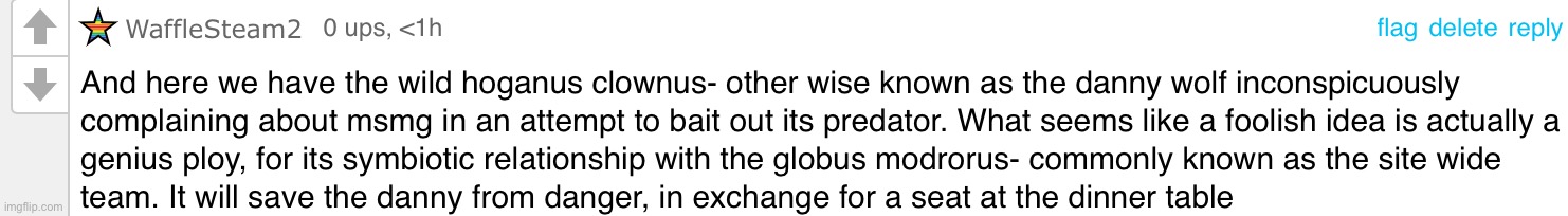 I am the David Attenborough of imgflip - Imgflip