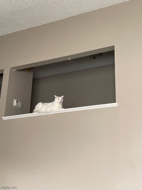 He sitting on the ledge n shit - Imgflip