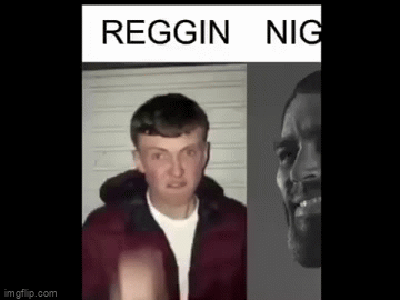 Image tagged in gifs,memes - Imgflip