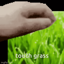 Touch grass scrunkly - Imgflip