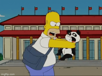 HOMER PANDA STRANGLE - Imgflip