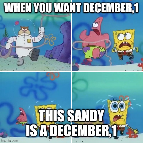 Sandy Lasso - Imgflip