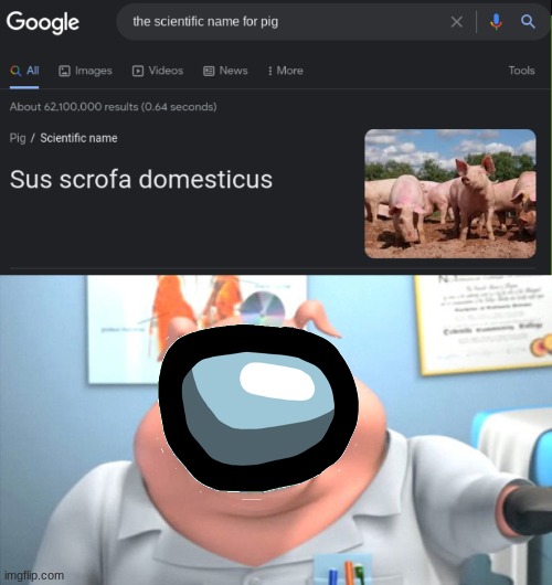 Image tagged in i diagnose you with sus - Imgflip