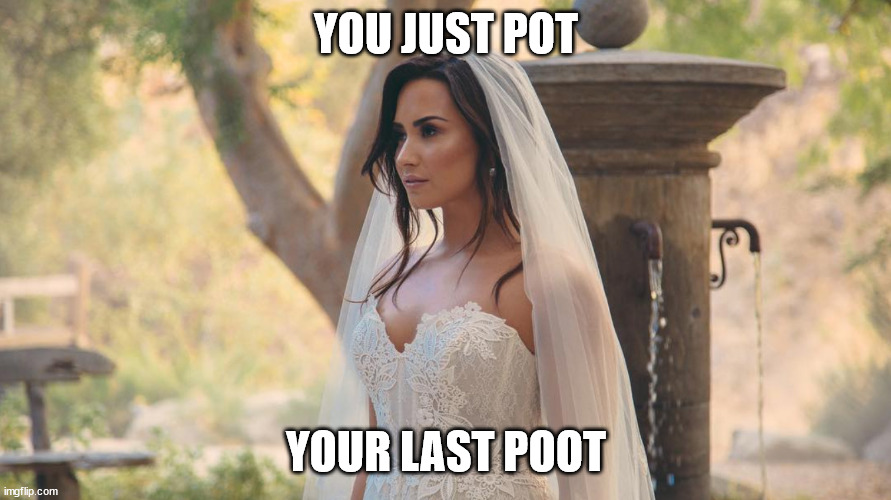 Demi lovato in wedding dress - Imgflip