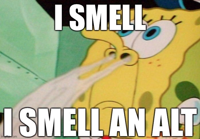 https://imgflip.com/memegenerator/388381843/I-smell-an-alt - Imgflip