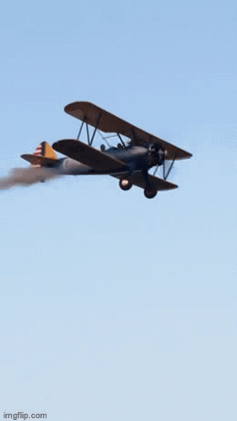 Animated GIF - Imgflip