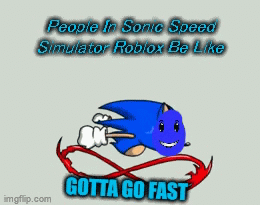 People in sonic speed simulator be like - Imgflip