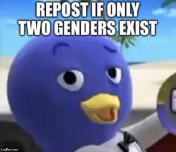 numa numa ey - Imgflip