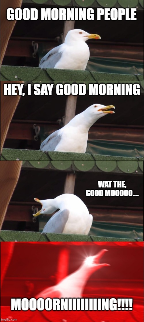 Inhaling Seagull Meme - Imgflip