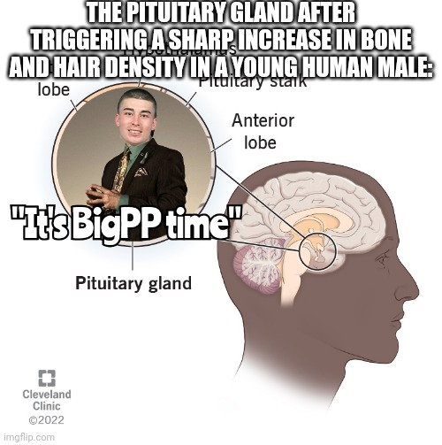 Non-Celtics fan coming in peace. T-minus 12 hours until my favorite ...