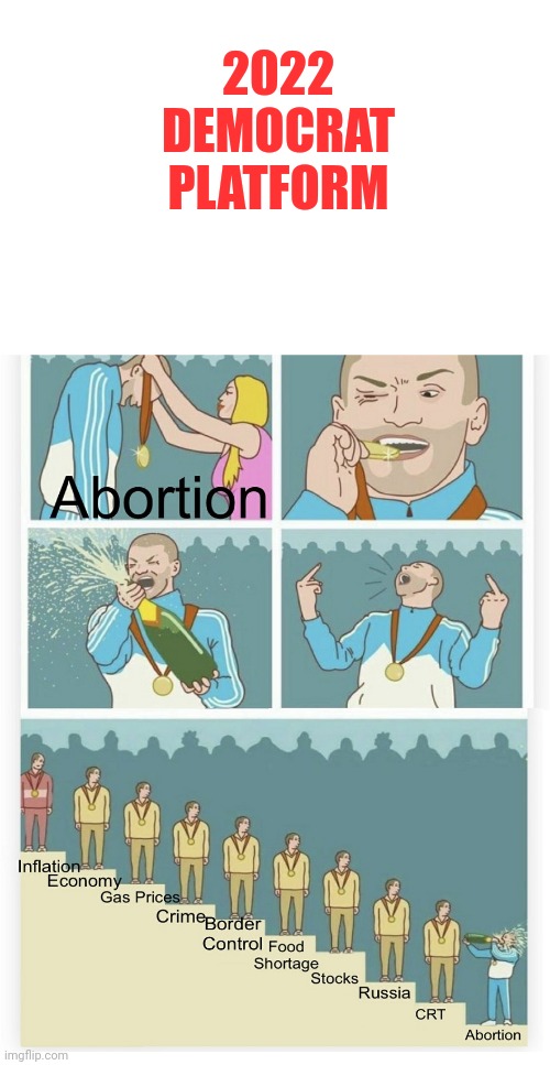 2022 Democrat Platform - Imgflip