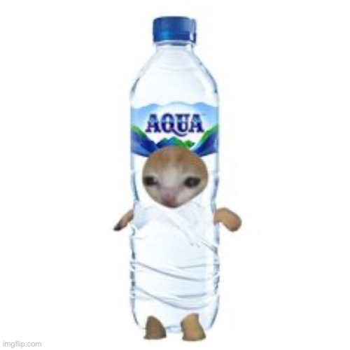 EL GATOOOOO - Imgflip