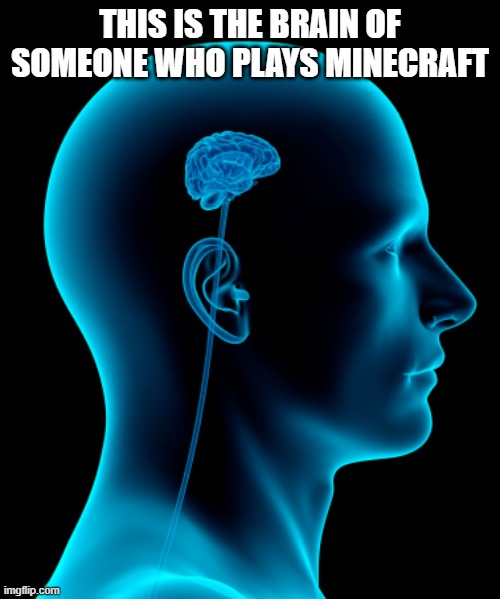 small brain - Imgflip