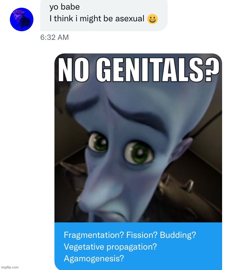 going to repost this again because it's funny - Imgflip