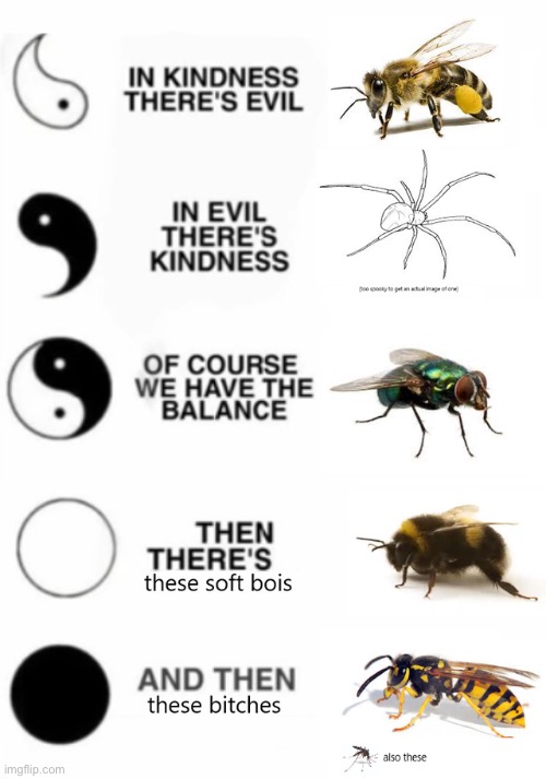 Last one i swear - Imgflip
