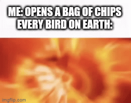 Communist Elmo - Imgflip