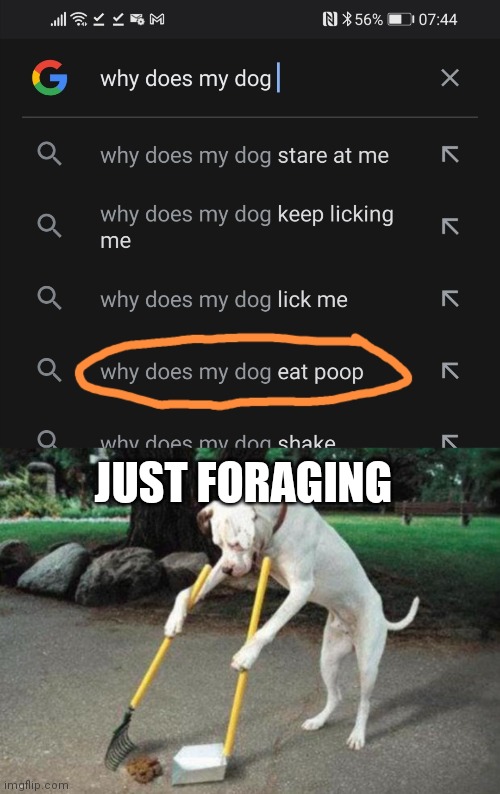 Just foraging - Imgflip