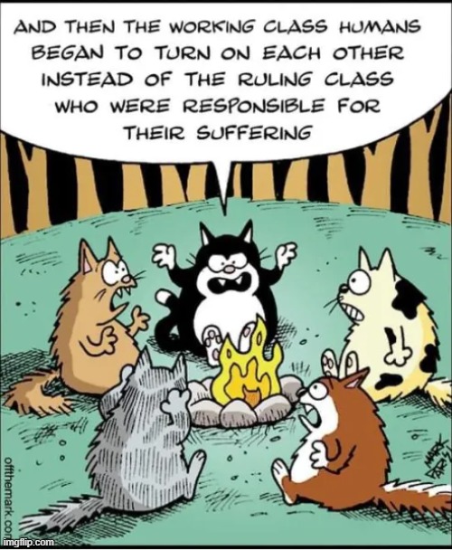 Focus on the Ruling Class, not fighting each other - Imgflip