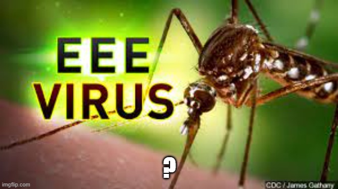 New variant? - Imgflip