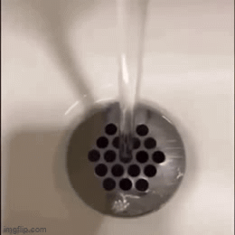 Animated GIF - Imgflip