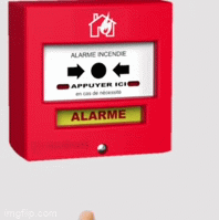 Animated GIF - Imgflip