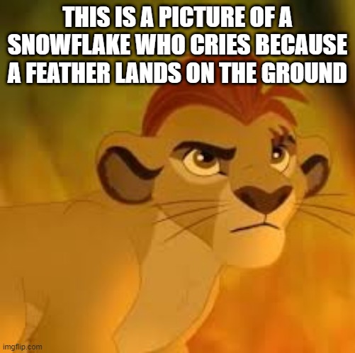 Kion crybaby - Imgflip