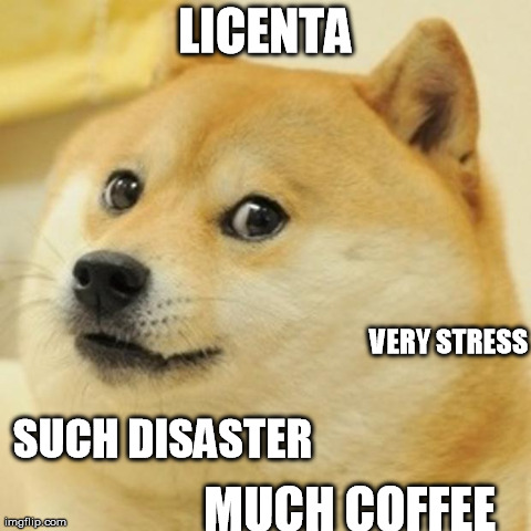 Doge Meme - Imgflip