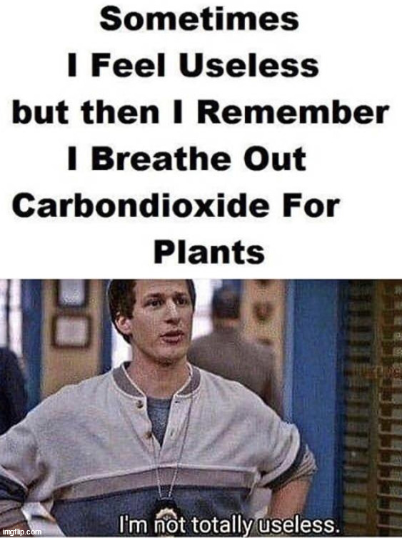 Image tagged in i'm not totally useless - Imgflip